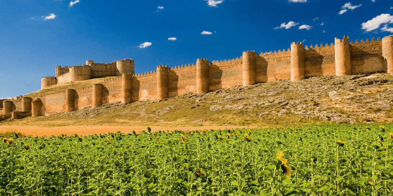 PRELIMS PYQ - UPSC ASPIRANTS